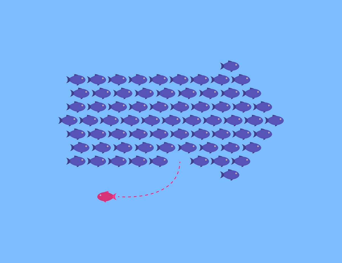 The Art of “Funnel Fishing”. With OCG, you’re not just randomly… | by ...