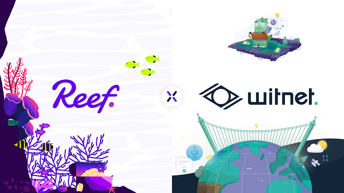 Witnet Launches Reef Support to Bring Truly Decentralized Oracles to the Reef Ecosystem | by ...
