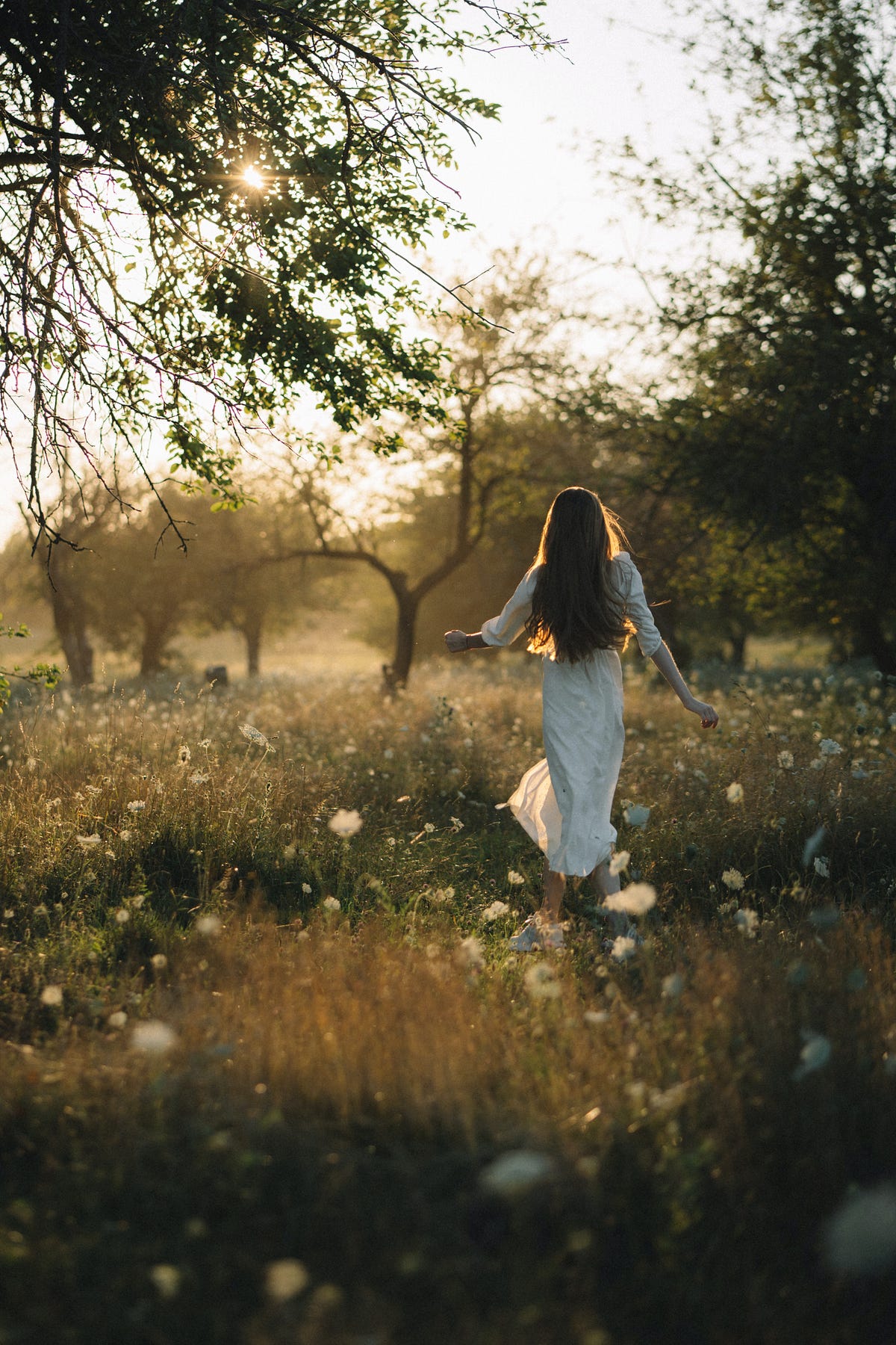 Why Do We Love Life Quotes So Much? | by Gennadiy Shevtsov | Medium
