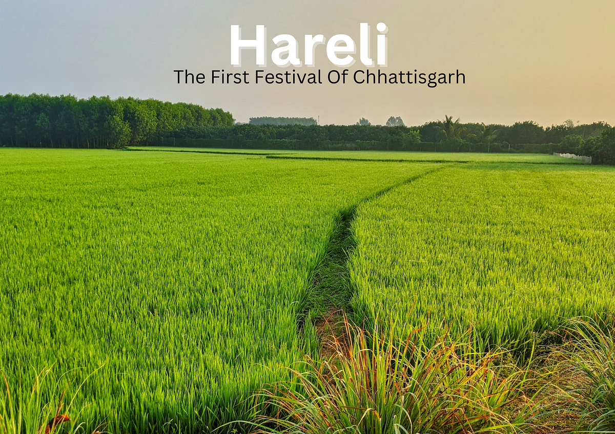 Hareli: Celebrating Nature’s Bounty and Harvest Blessings | by ...