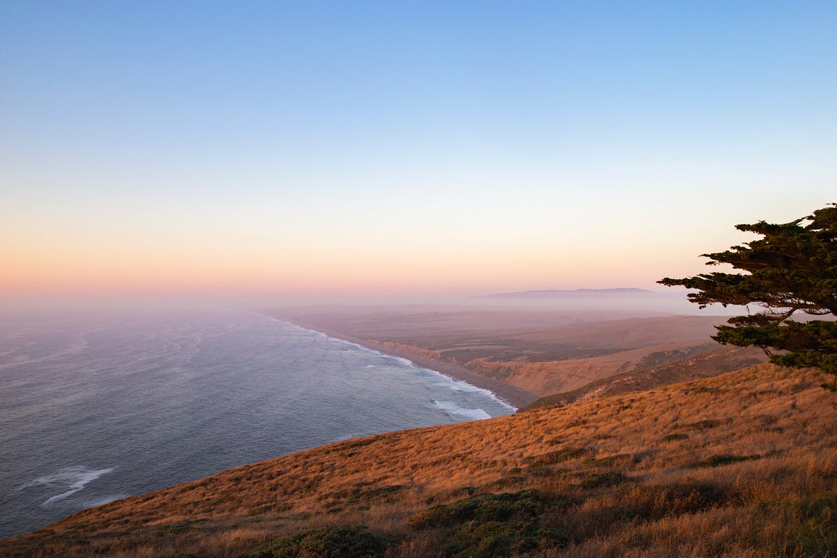 Point Reyes National Seashore’s Secret Shame | by Liz Koonce | Medium