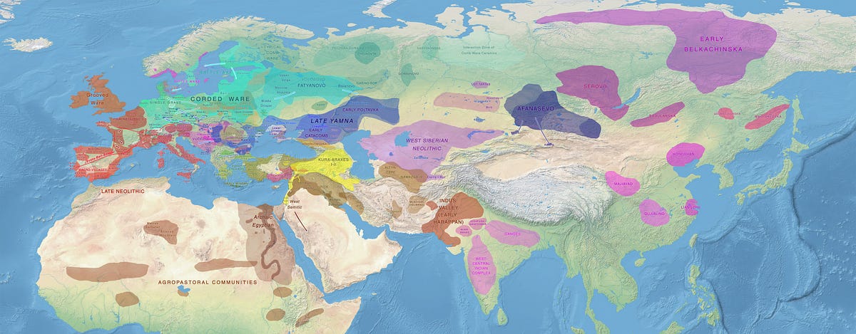 Deciphering Ancient DNA. Making sense of ancient human… | by Tim ...