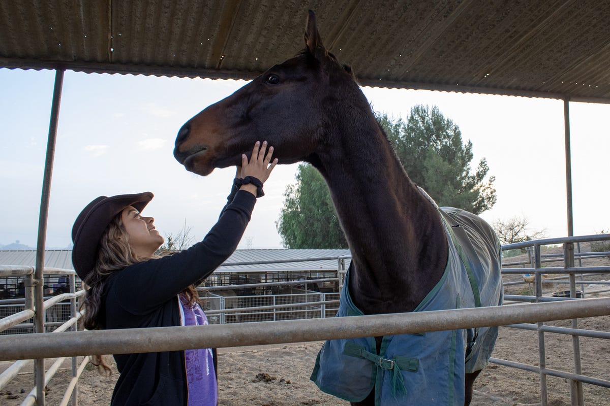 Therapeutic Love. Turning a passion into a career | by Kassandra Ruiz ...
