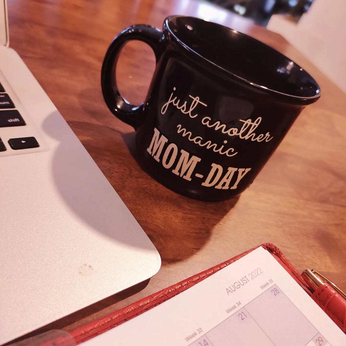 Everyday is a MANIC MOM DAY!. I have so much to do in a day, caring ...