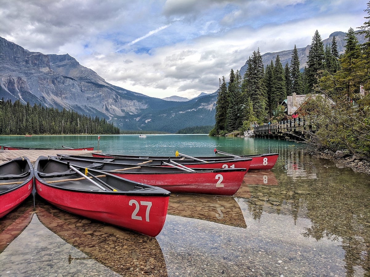 Cloudant Fundamentals: The _id. Unlocking the mysteries of the unique… | by Glynn Bird | Center ...