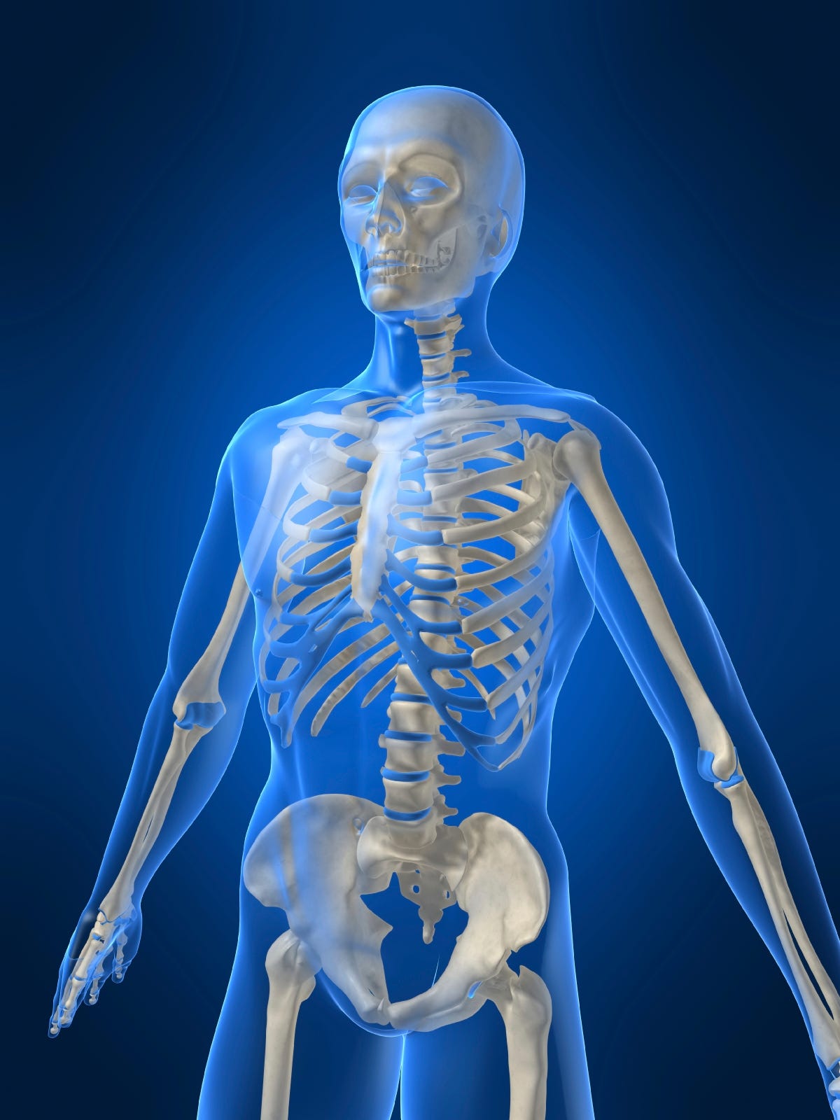 How Many Bones Are In The Human Body By J K Medium how-many-bones-are-in-the-human-body-by-j-k-medium