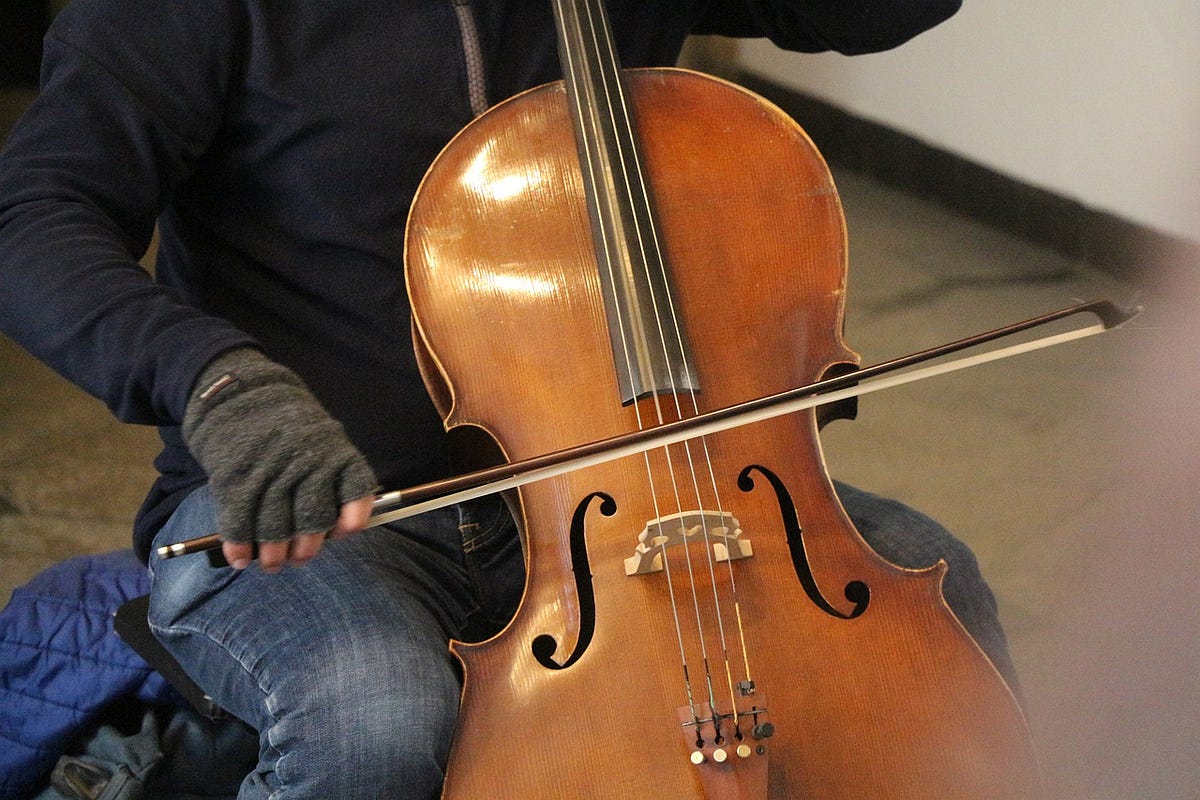 Embracing Musical Growth: The Tiny House Cello Experience | by Smithsteven | Oct, 2024 | Medium