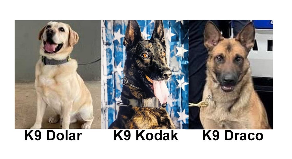 Honoring Our Fallen K9 Heroes: The Legacy of K9 Officers Lost in the ...