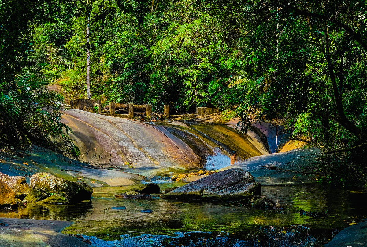The Qualities of Nature in Me. Discover how the qualities of nature ...