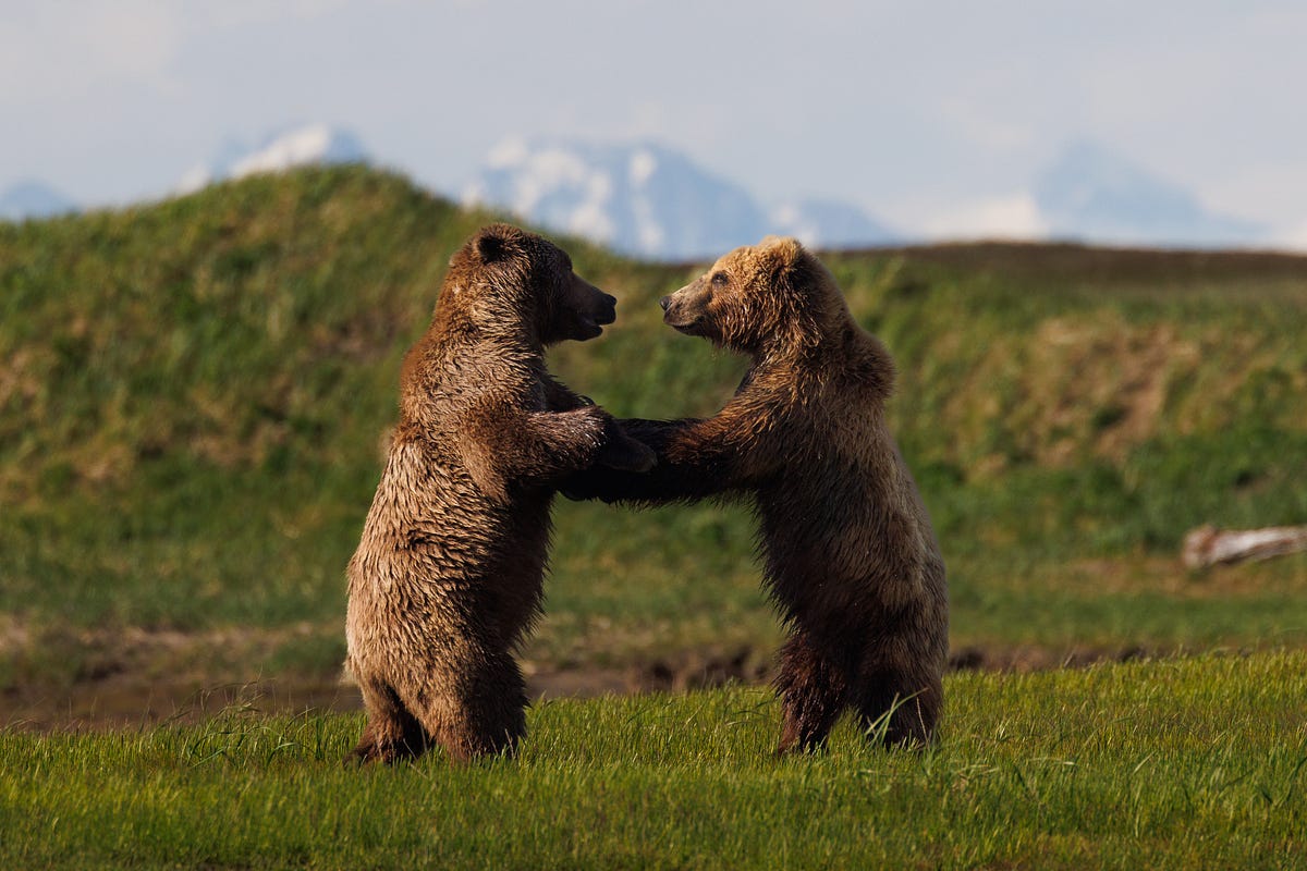 Photographing Alaska (from an RV) | by Mel Foody Photography | Medium