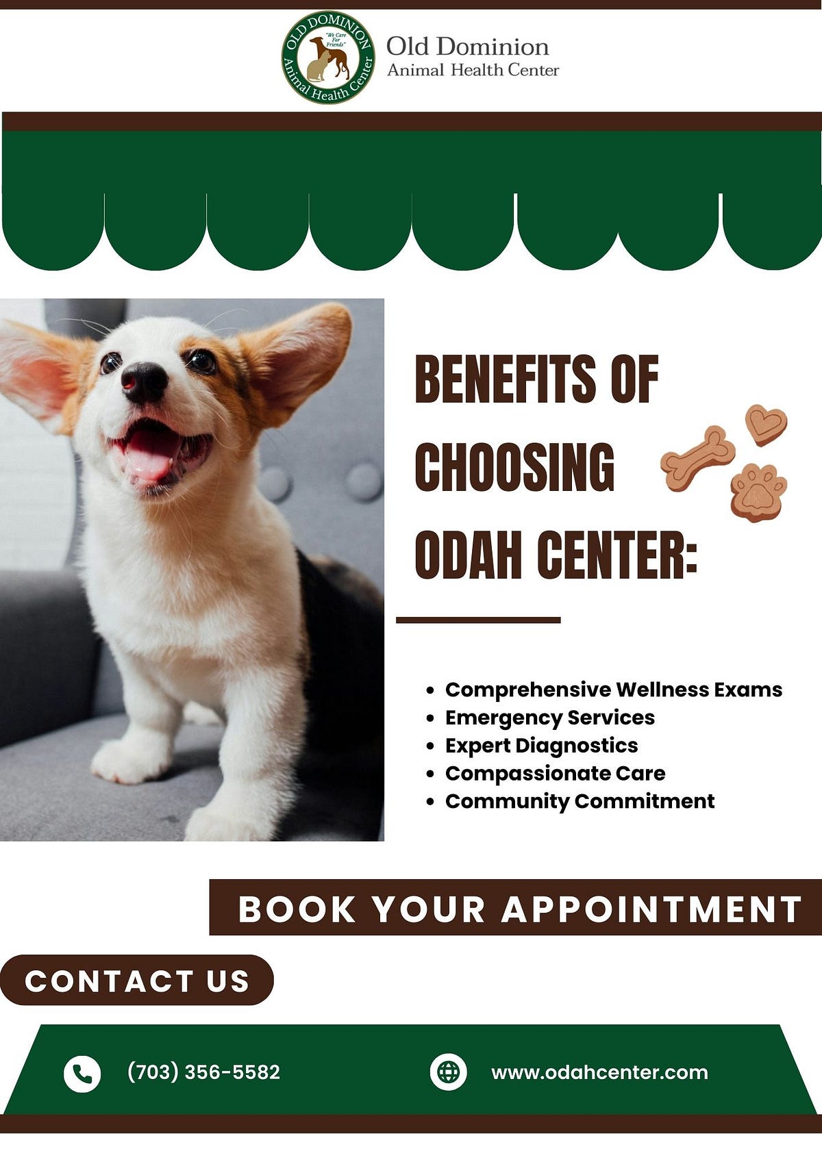 Why Choose ODAH Center: Exceptional Care for Your Pets - Old Dominion ...