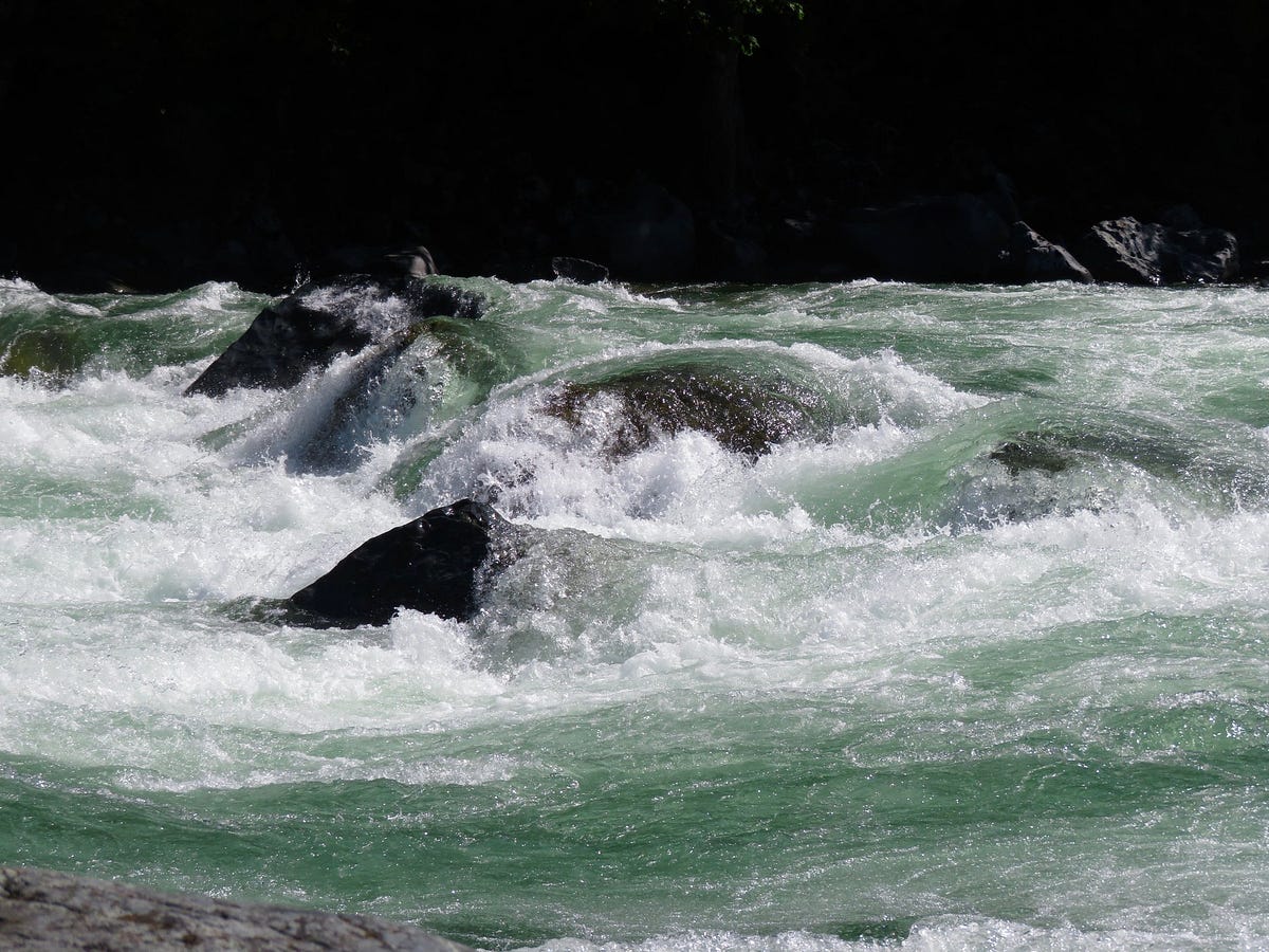 The River Knows. In the past few days, my friends from… | by Mark ...