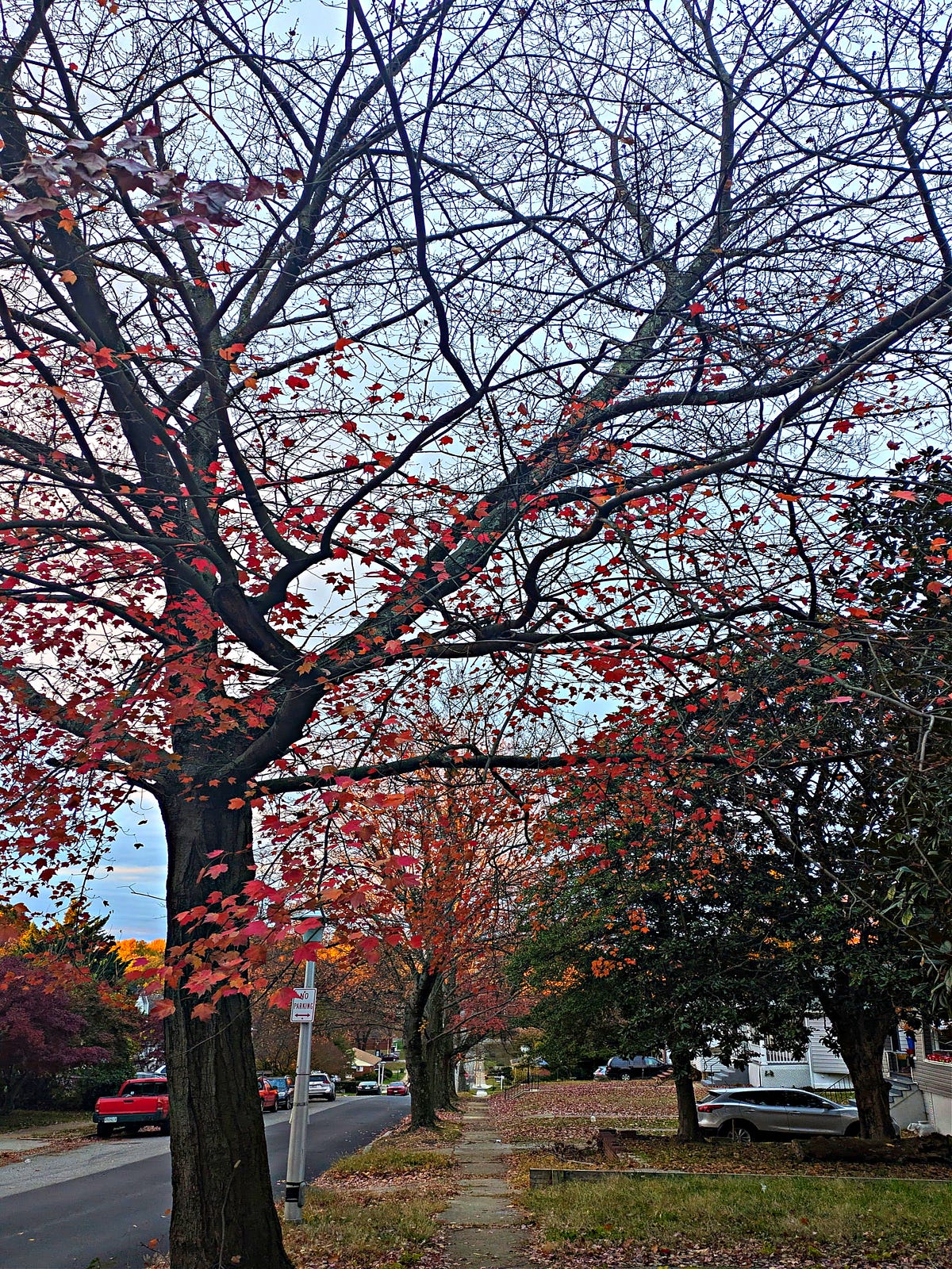 A Moody November Morning. November Walk Journal Part 1 | by Walter Pop ...