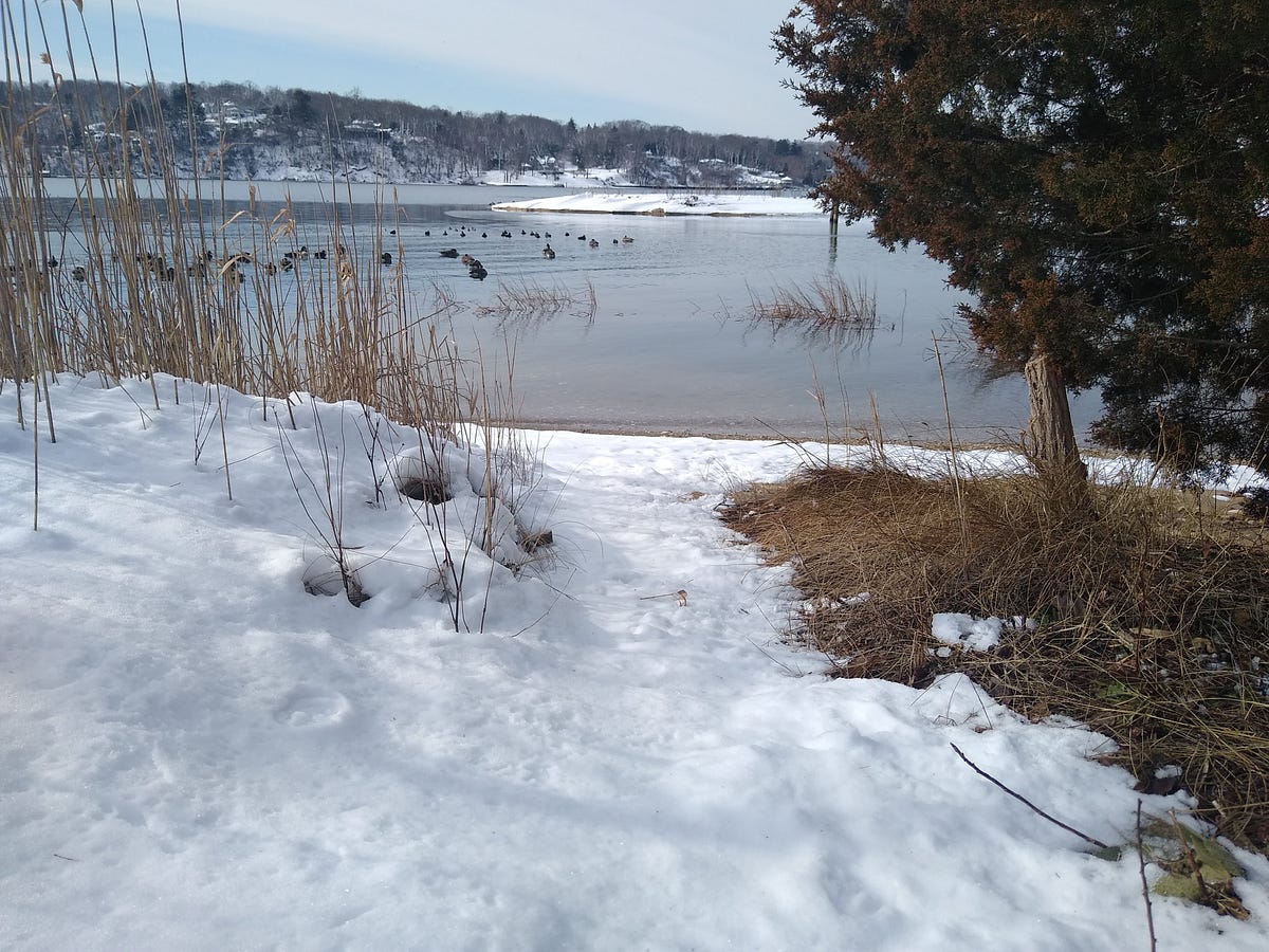 This Is What Christmas Is (to me) | by Determination, Deliberation, and ...