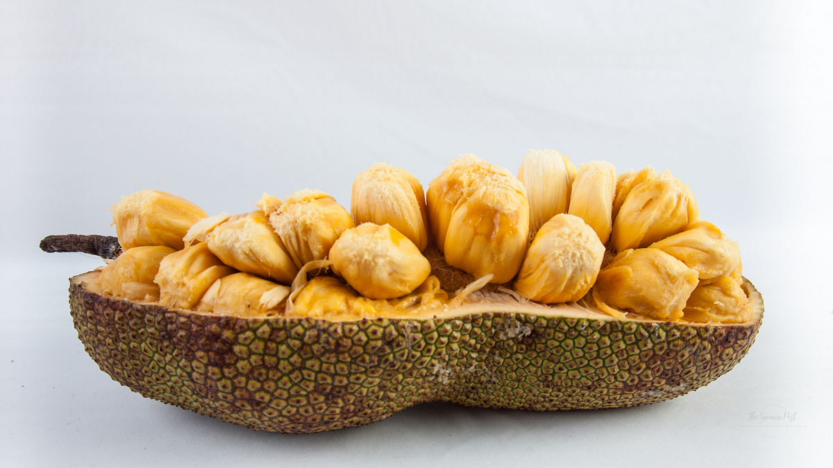 Jackfruit Benefits Jackfruit Health Benefits – Should You Have It?