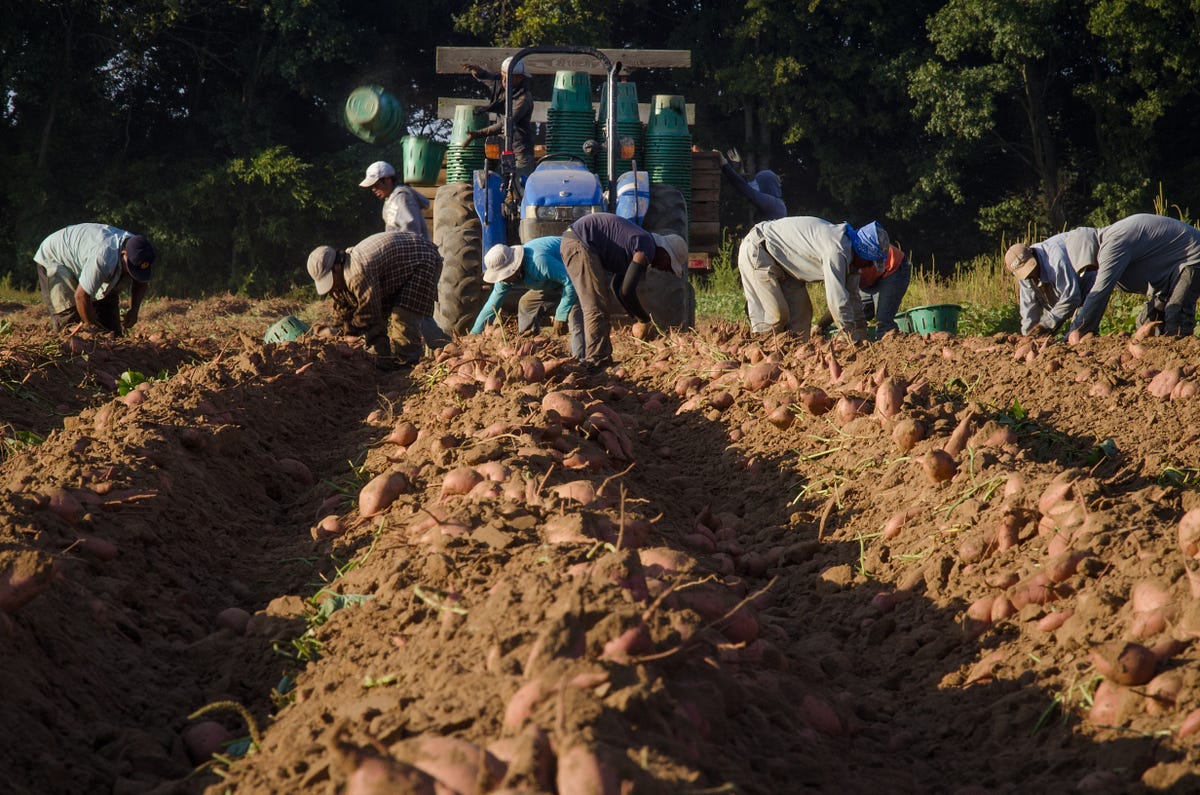 The Exploitation of Cheap Labor. Question Exploration: How are the ...