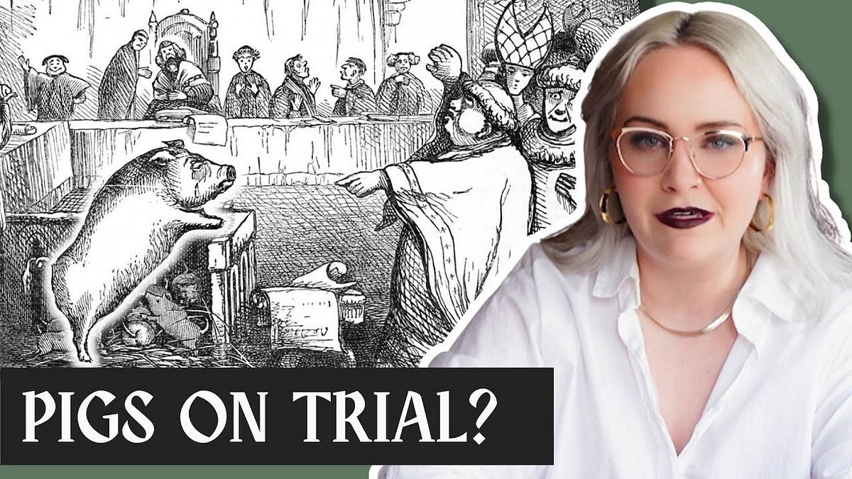Why Medieval People Put Pigs on Trial for Murder | by Leeja Miller | Medium