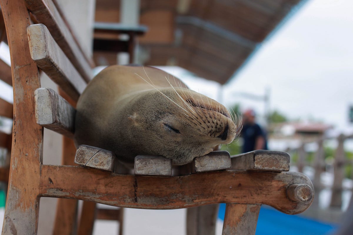 From eco-unconscious to mindful sustainability | by Ani Fuller | Medium