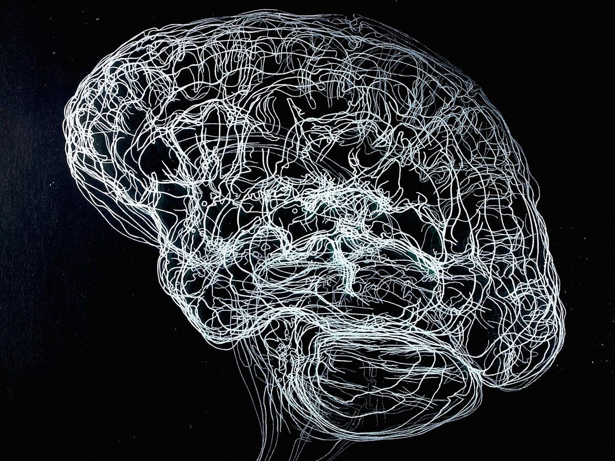 6 Theories of Knowledge and their Relevance | by Axel | Medium