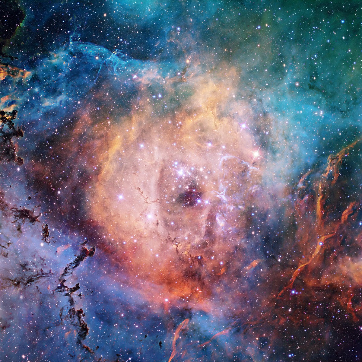 Curiosity, Life Cycle and Purpose. | by Veer Maheshwari | Sep, 2024 ...