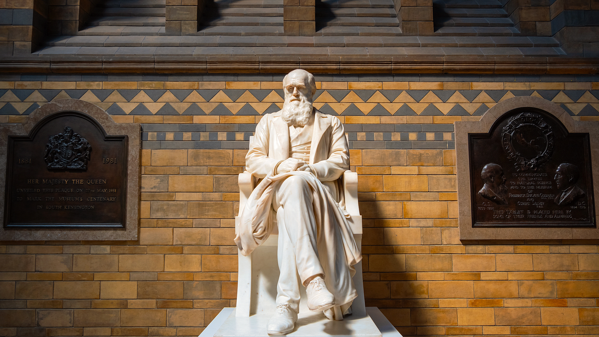 Darwin Feared Fossil Gaps Would Break His Theory — Science Just Proved Him Wrong | by Dr. Pine ...