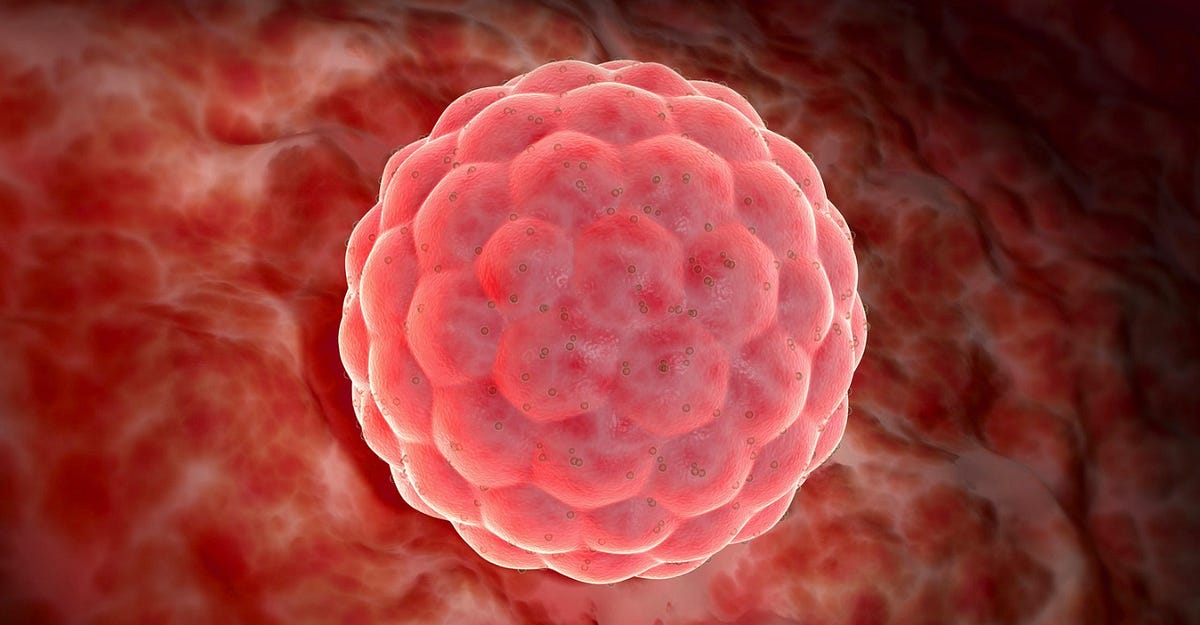 How Can You Be Pro-Life if You’re Not Letting People Conceive? | by ...
