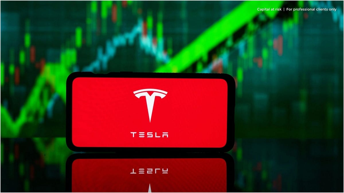 🚀📈 Tesla Stock Rockets in November Despite China Registration Lag | by ...