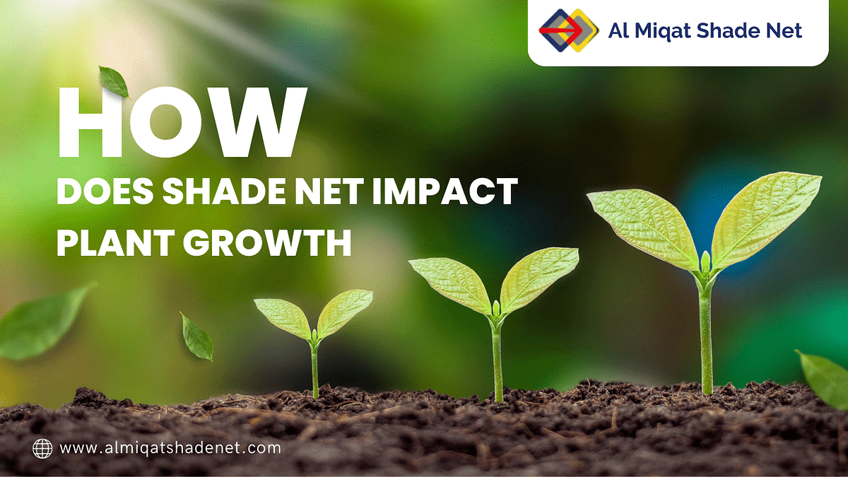 Nurturing Growth: The Impact of Green Shade Net on Plant Development in ...