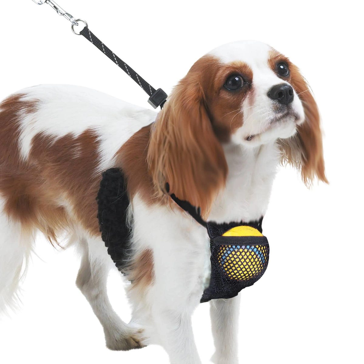 No Pull Harnesses. Are you tired of constantly battling… | by Angela ...