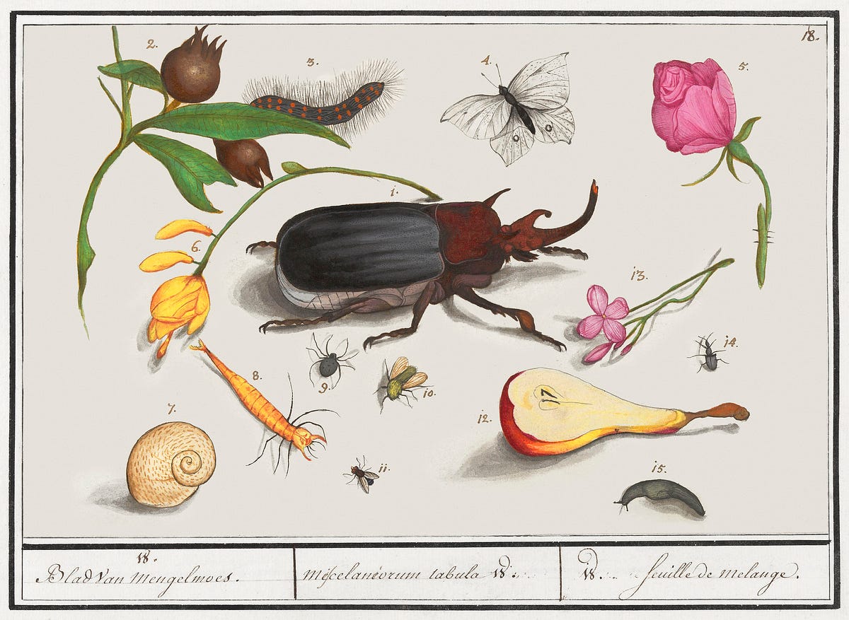 TEM Medium 2023 有獎徵稿 - Taipei Ethereum Meetup - Medium