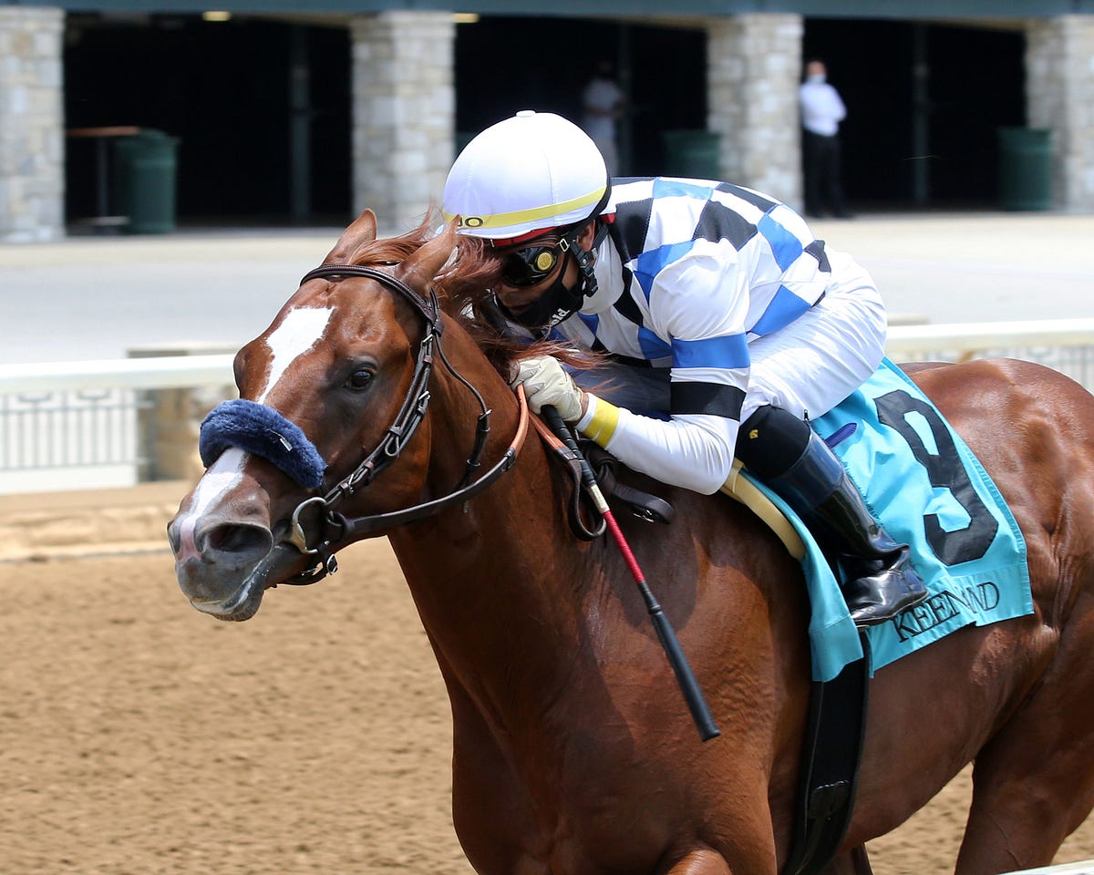 OPTIMAL Mating Analysis: Candy Ride Colt May Be Aptly Named | by Clark ...