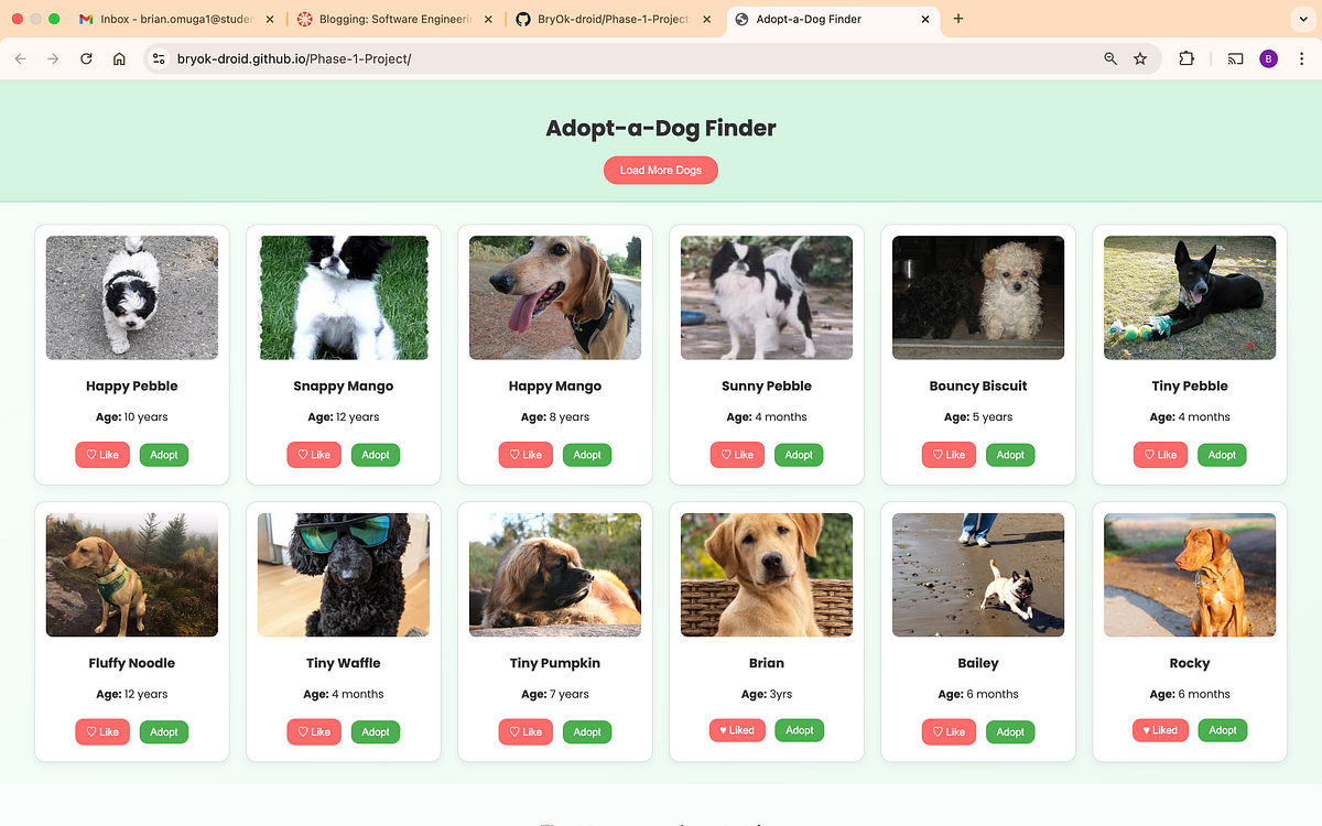 What I Learned While Building a Dog Adoption App with JavaScript | by ...
