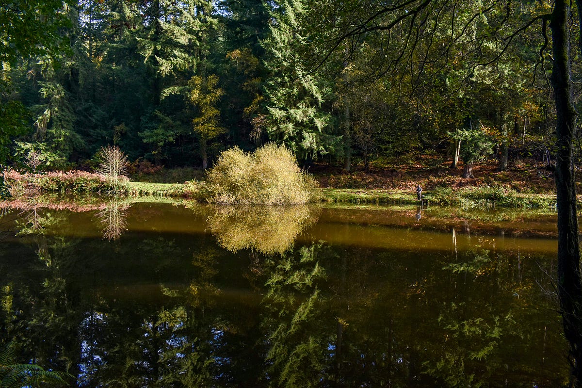 #ScenicSaturday 23rd November 24. Soudley Ponds | by Stuart Aken | Nov ...