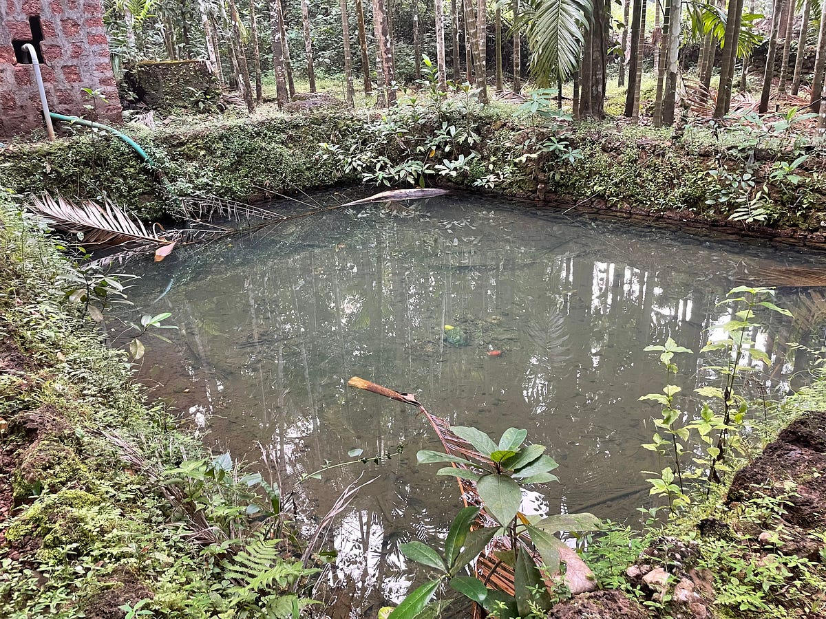 kulakaar. the pond we ran to the stones we… | by Maruti Naik | An Idea ...