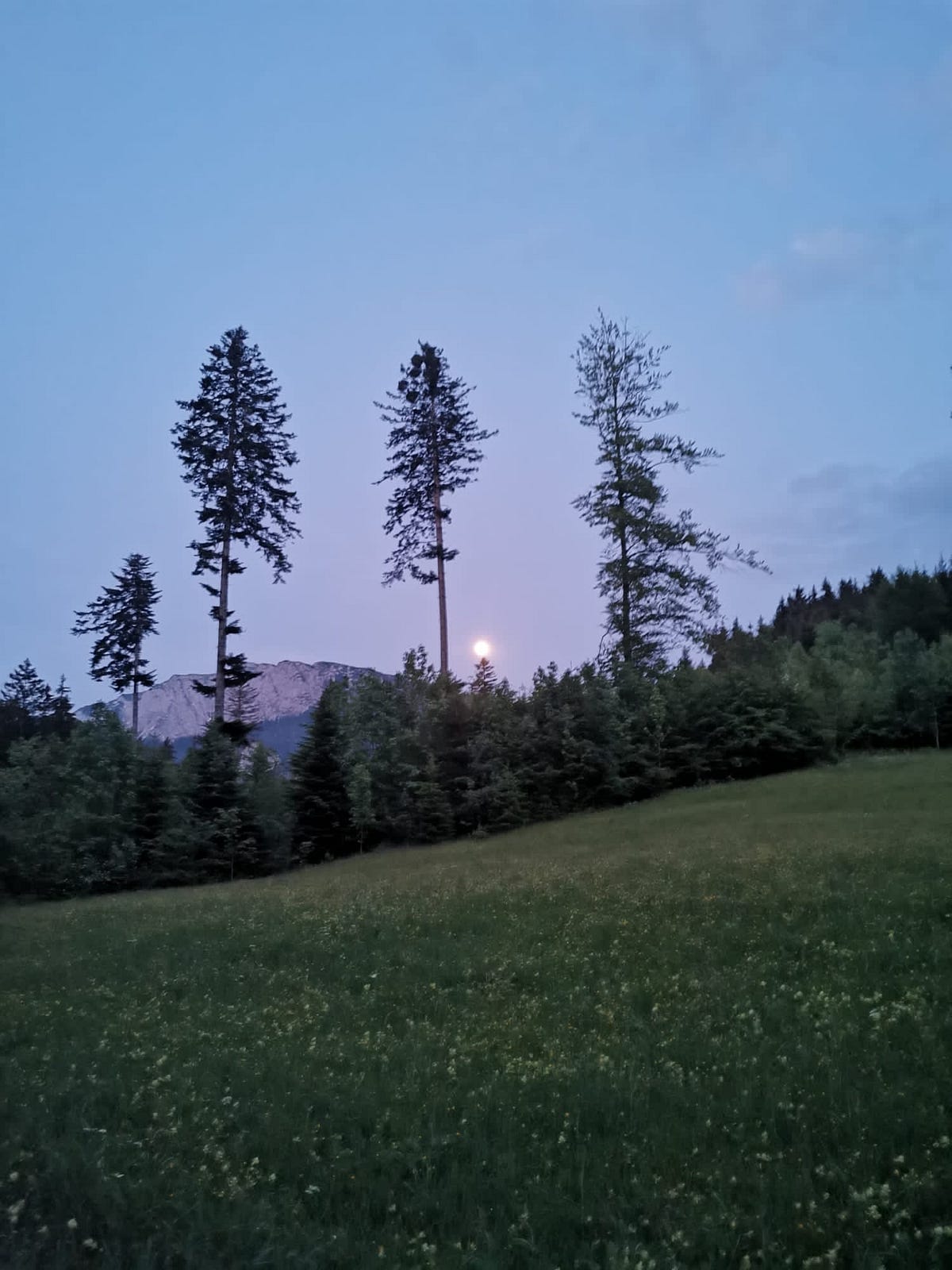 An infinite cycle of rebirth - Fatten Livadiotti - Medium