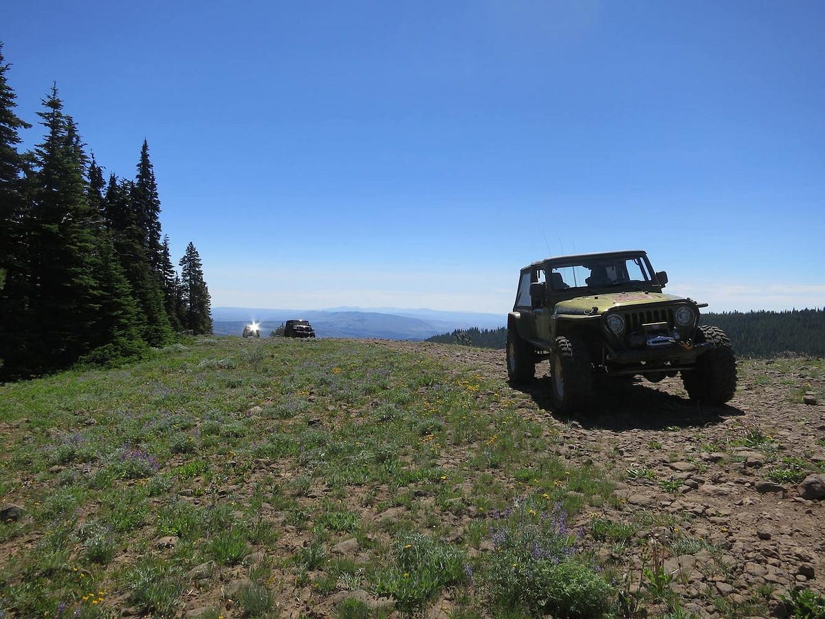 World Class Parks? We just want to recreate | by Jakob Perry | DNR ...
