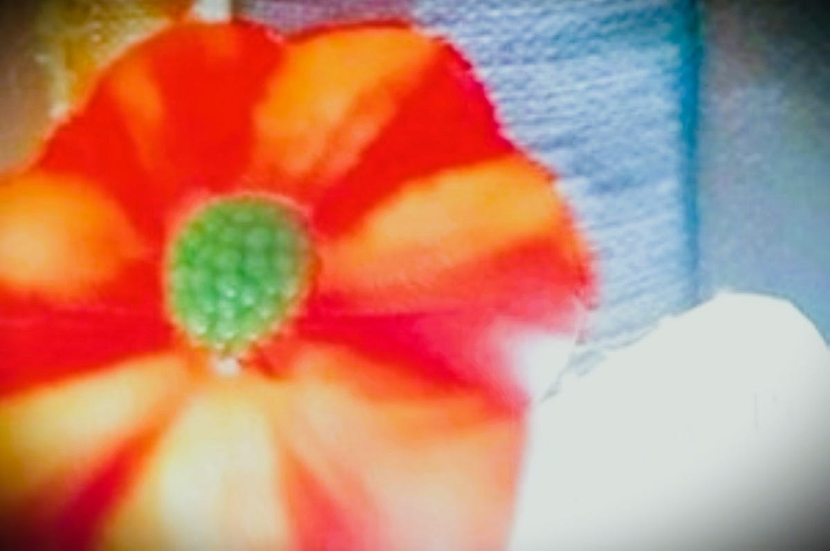 Buddy Poppy - Petits Fours Magazine - Medium