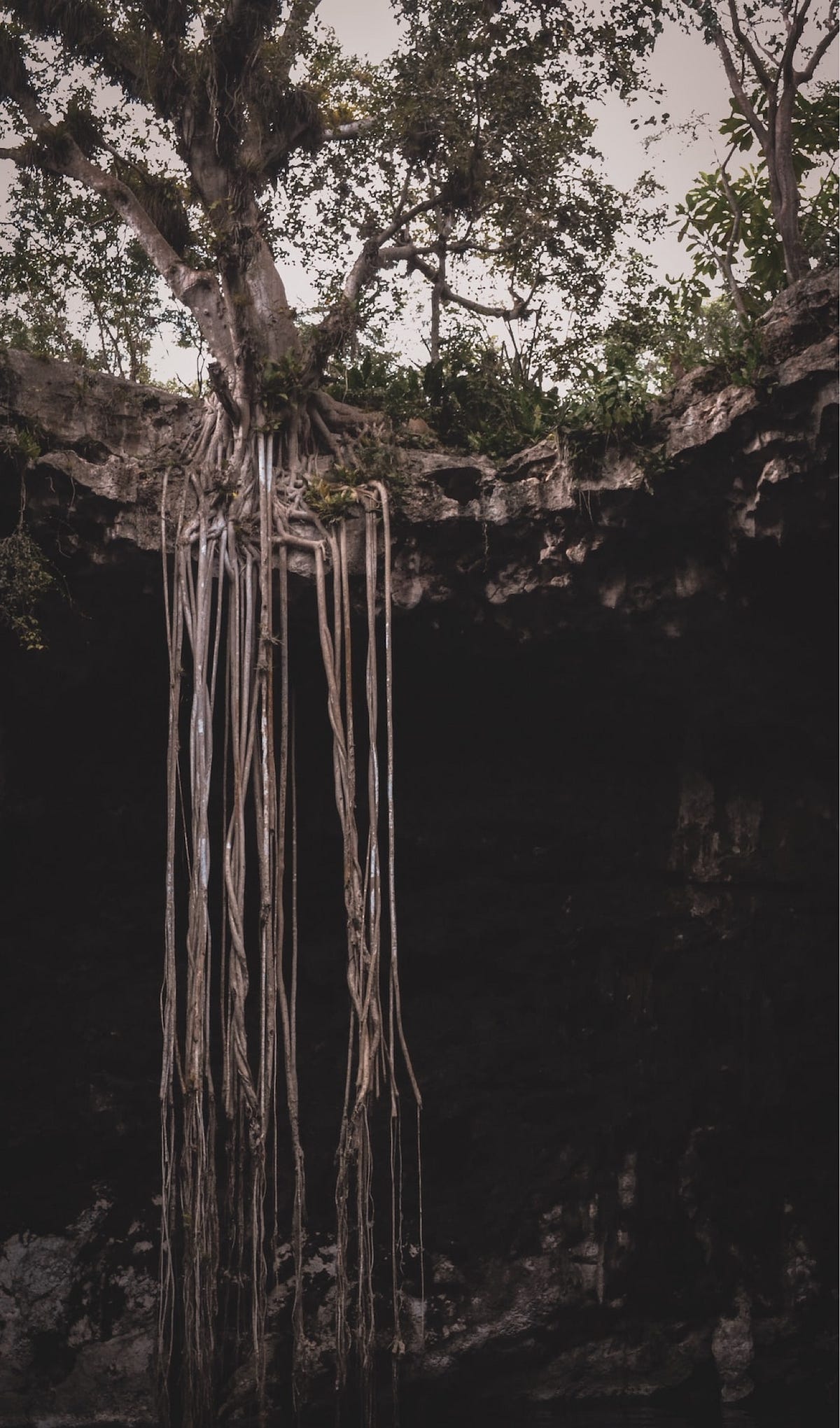 Harnessing High Performance Work Teams for Effective Root Cause ...