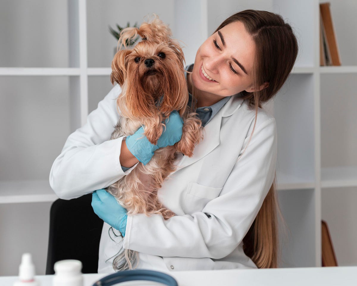 Universal Sutures — The Veterinary Sutures Manufacturer in India | by ...