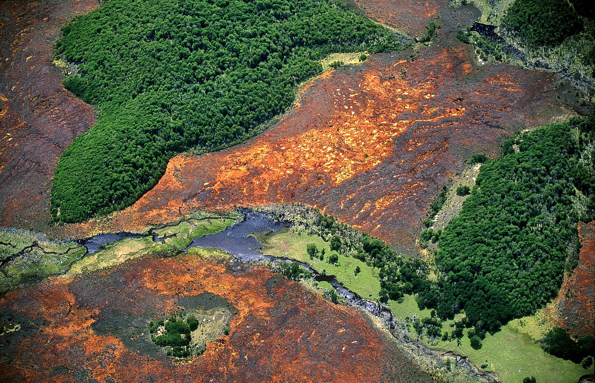 It’s World Peatlands Day: Why Should We Care and What Can We Do About ...