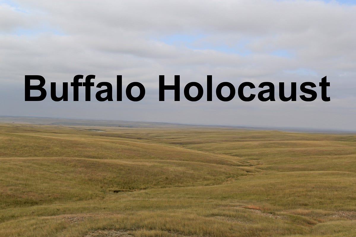 Once there were 50-to-100 million buffalo, they were the most numerous ...