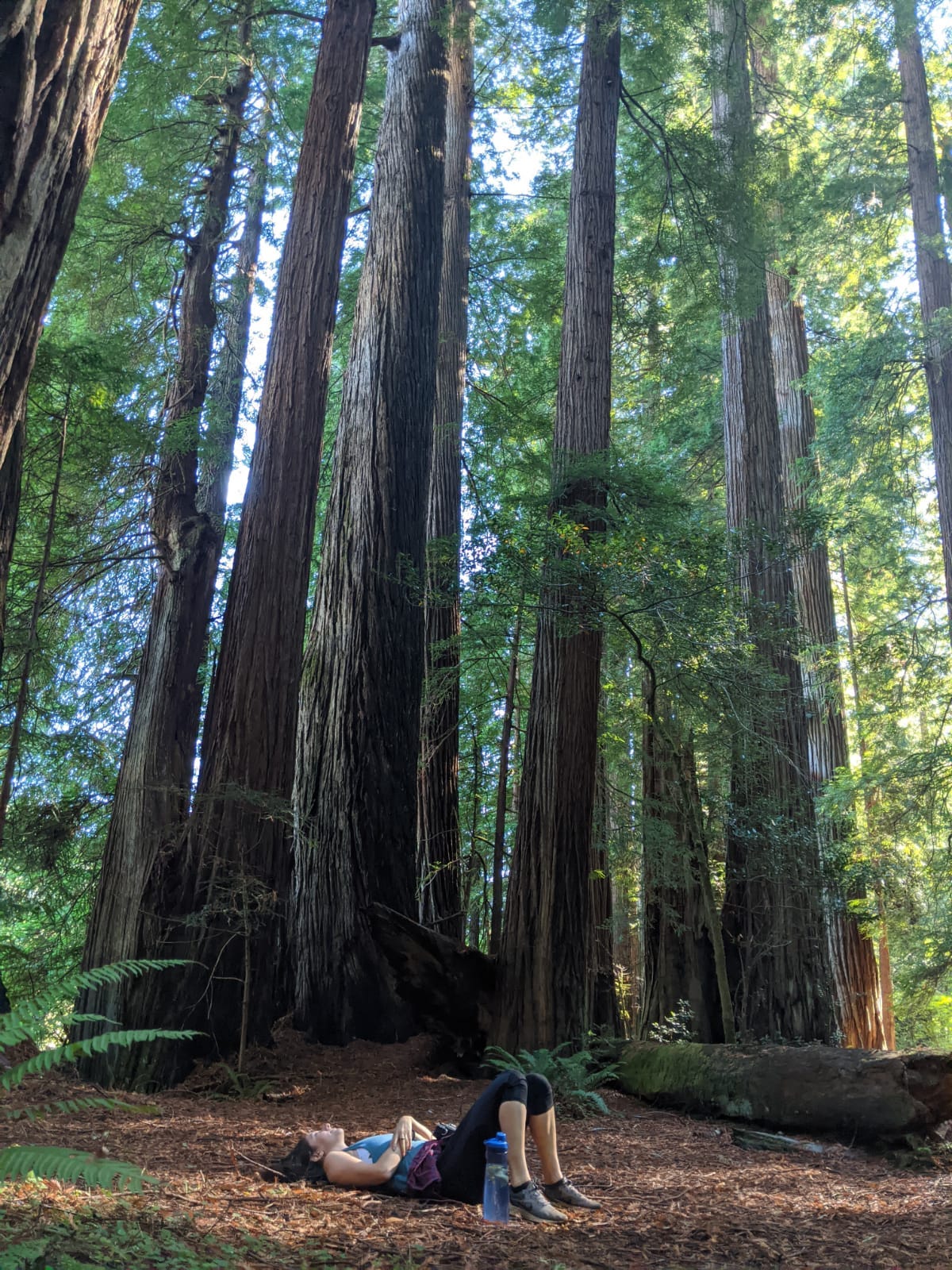 3 Learnings from 2020: The Wildness of Life, Nature is Life, and ...