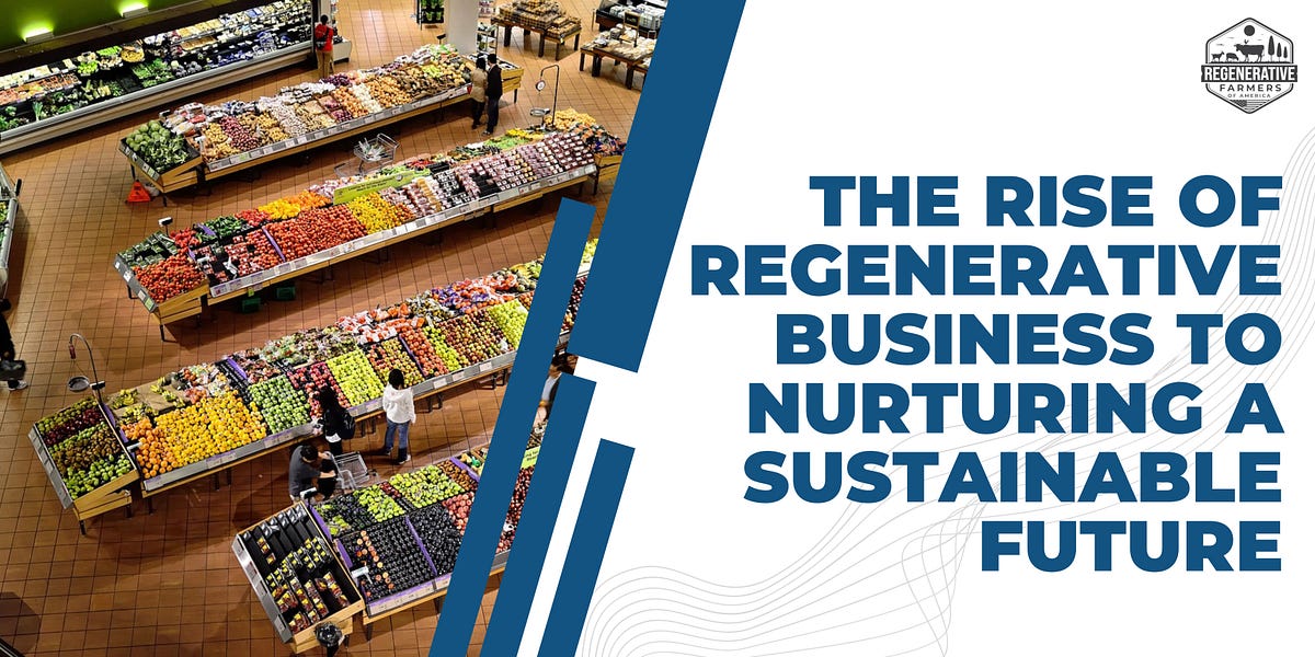 The Rise of Regenerative Business to Nurturing a Sustainable Future | by ...