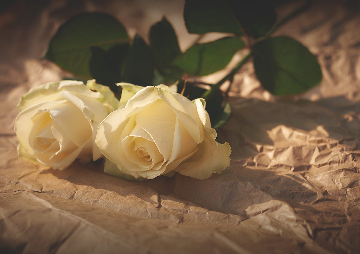 What Does Love Look Like?. How We Learn to Love | by Joe Duncan ...