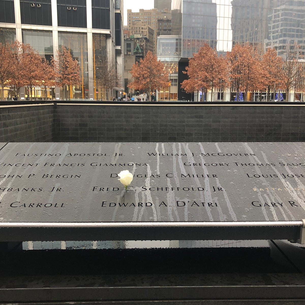 The 9/11 Memorial Feels Different Now | by Claudette Scheffold | Medium