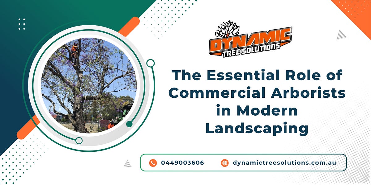 The Essential Role of Commercial Arborists in Modern Landscaping | by ...