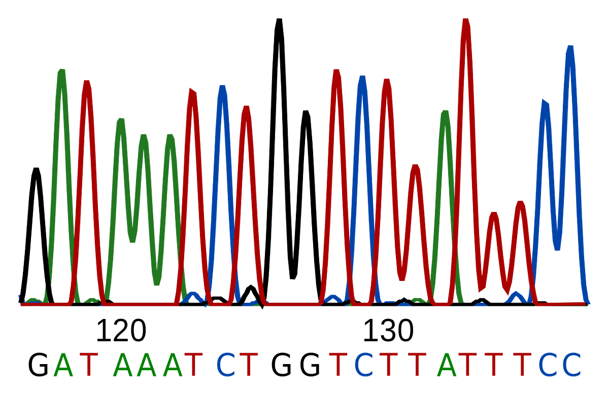 Everything You Need to Know About Your Genes | by Rich Sobel | The ...