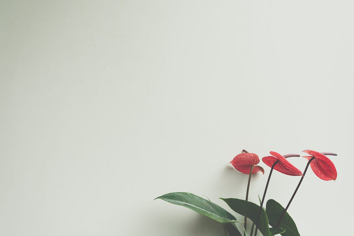 Well begun is half done — Part I. A look back at how Startup India has… | by Siddarth Mohan Pai ...