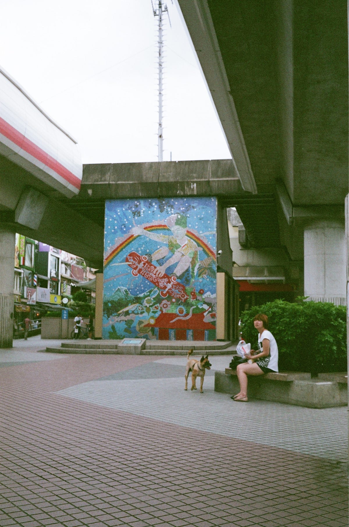 少女與狗的早晨時光。. The morning belongs to the Girl & her… | by Kyle Chu 微風捕手 ...