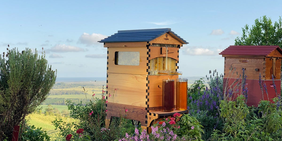 Flow Hive at Nine: How a Family Idea Changed Backyard Beekeeping | by ...